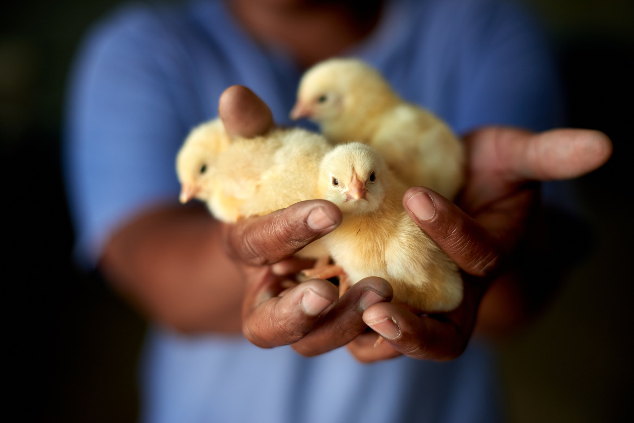 Matsapha - SwatiPages.Com