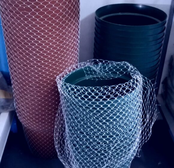 Swazi Pak - Matsapha, Eswatini